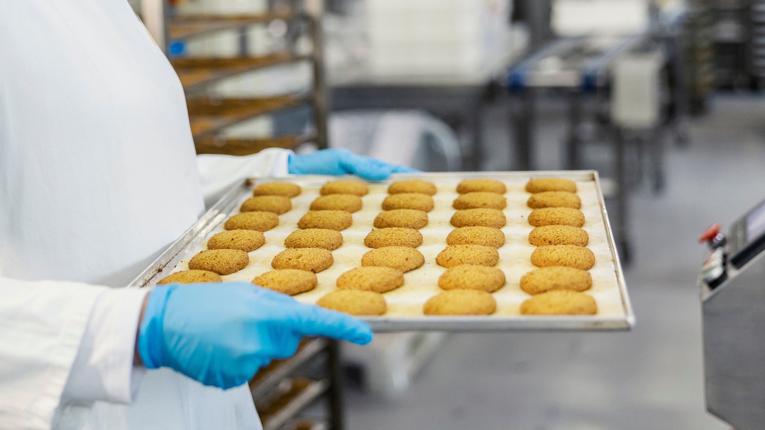 Our Bakeries - Artisan Bakery